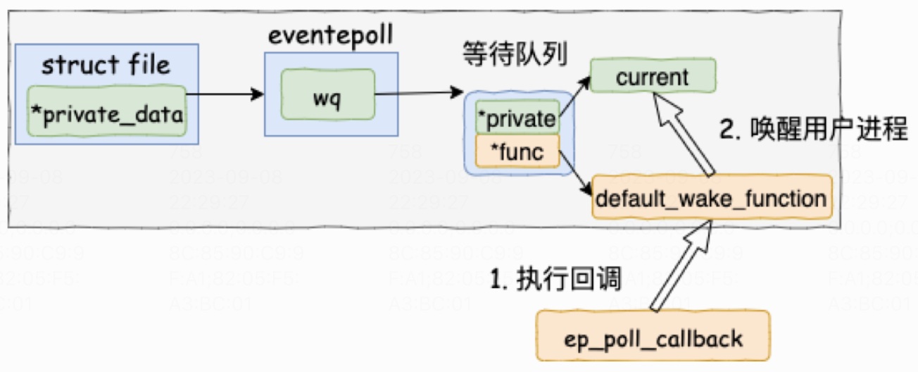 Linux 网络简说（上） | 海东青